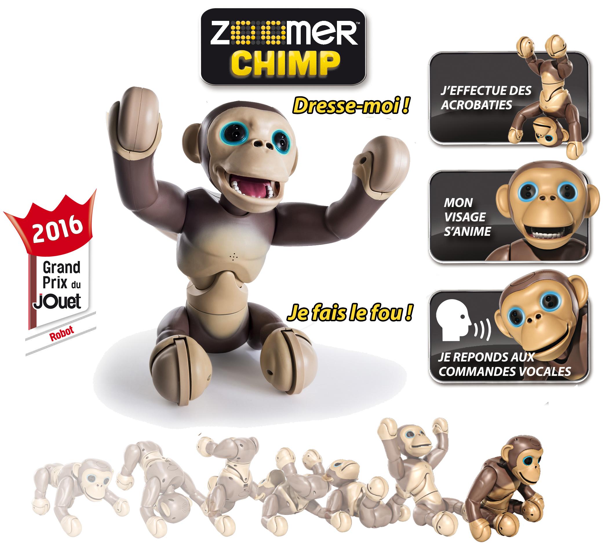 Zoomer - 6034097 - Animal Interactif - Chimp: Amazon.fr: Jeux et Jouets