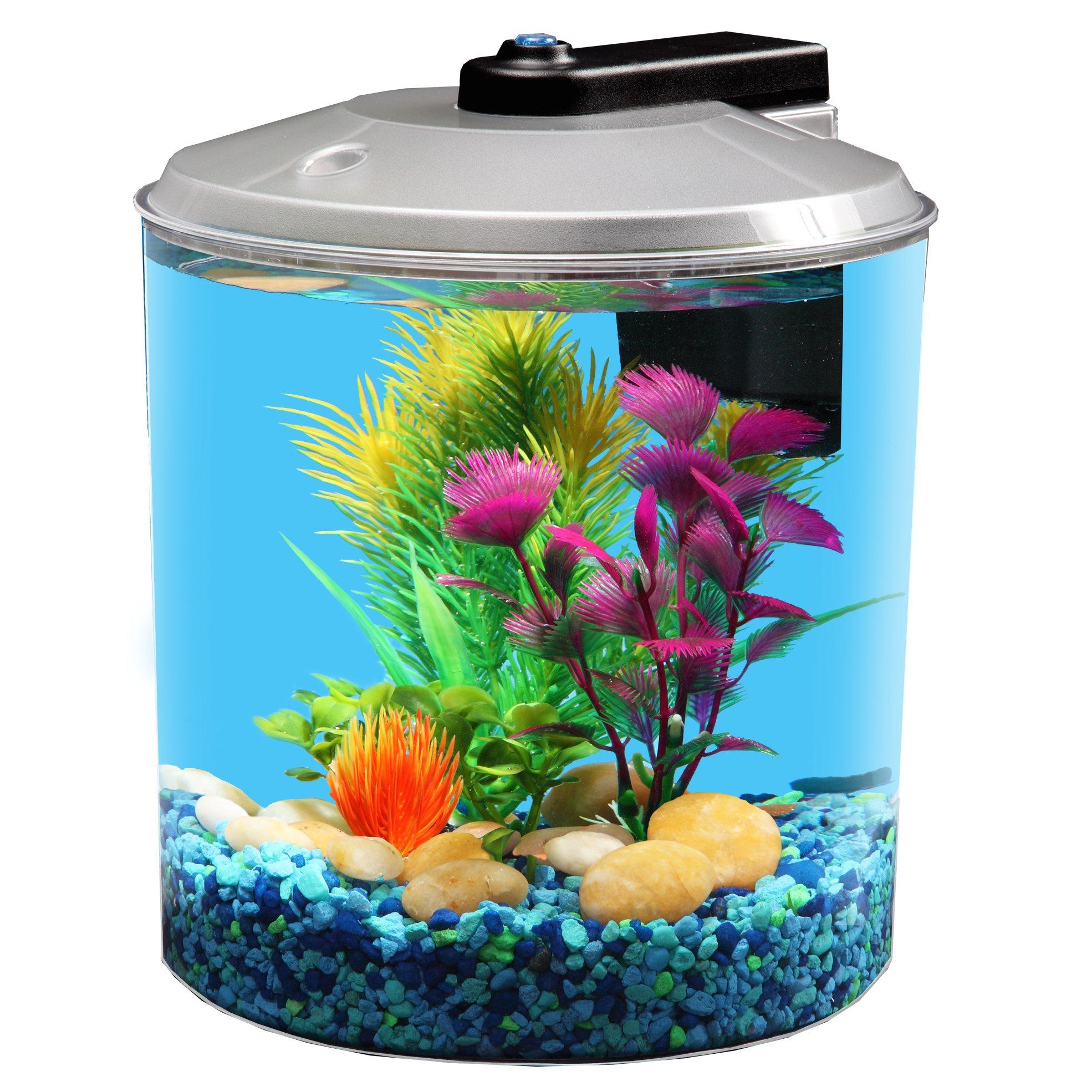 Kollercraft API Betta Kit 360-Degree Fish Tank, 1.5-Gallon: Amazon.ca ...