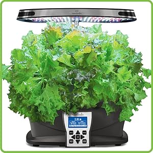 AeroGarden Salad Greens Seed Pod Kit(6-Pod) : Amazon.ca: Everything Else