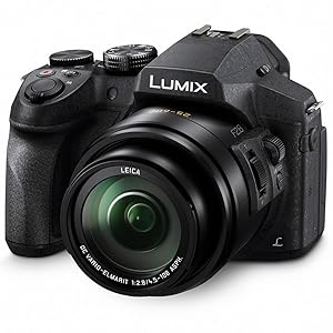 Amazon Canada: Panasonic LUMIX FZ300 12.1 Megapixel, 1/2.3" Sensor ...