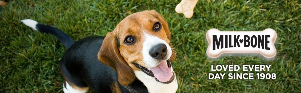 Milk-Bone Soft & Chewy Beef Steak Flavour Dog Treats 113g : Amazon.ca ...