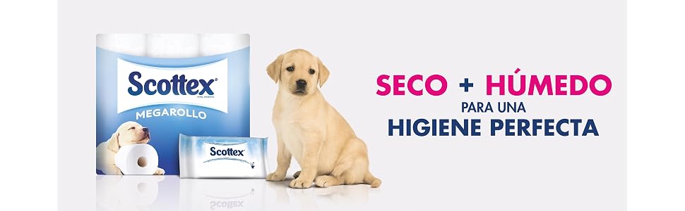Scottex Acolchado Papel Higiénico - 32 rollos: Amazon.es: Salud y ...