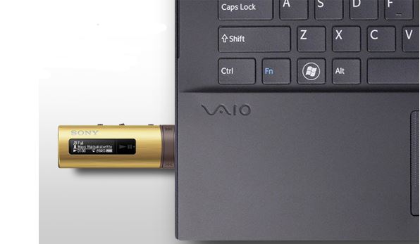 Sony NWZ-B183F Walkman MP3 Player with Built-in FM: Amazon.in: Electronics