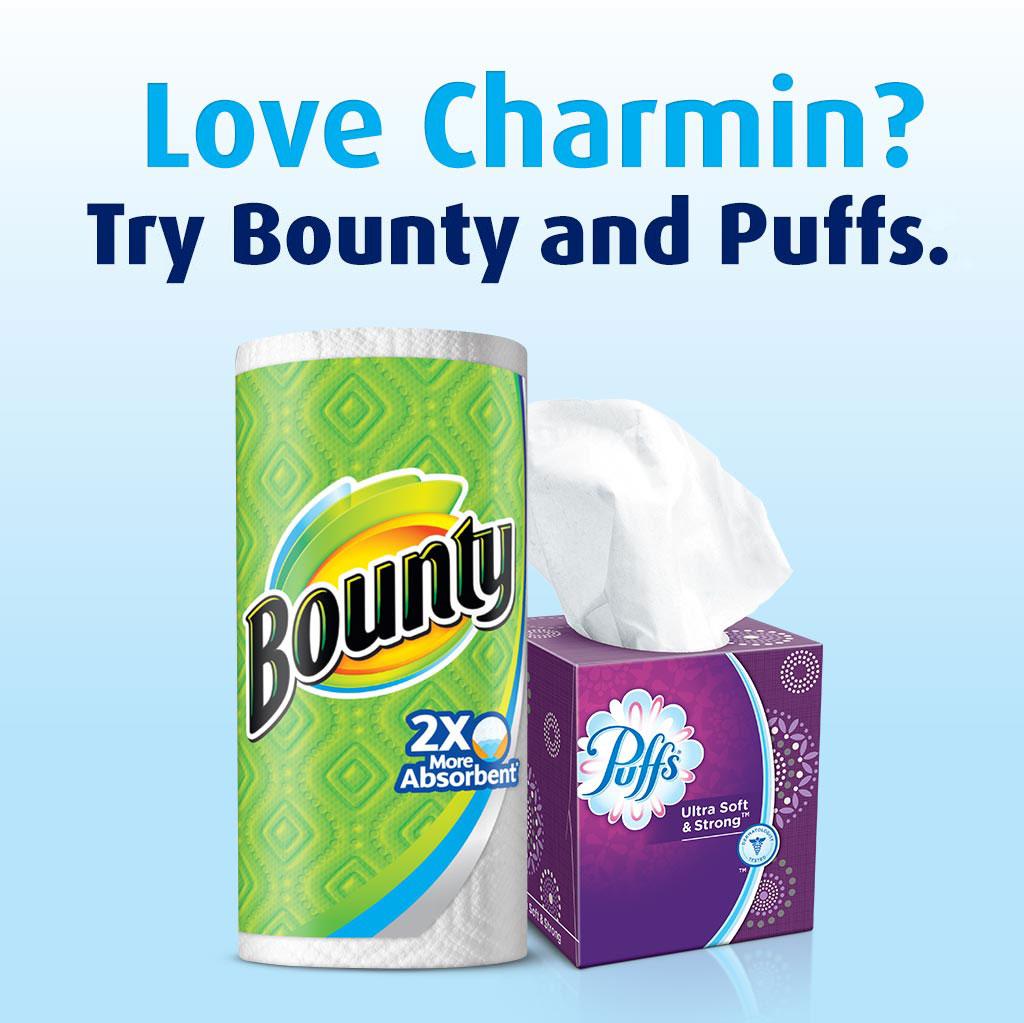 Charmin Freshmates Flushable Wet Wipes, 40 Count (Pack of 12) Packaging ...