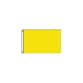 Amazon.com : Neon Green Solid Color 3x5 ft polyester Flag : Garden ...