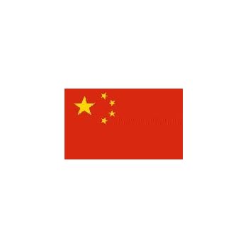 Amazon.com : 3'x5' CHINESE DRAGON FLAG of CHINA 1890-1912 : Outdoor ...