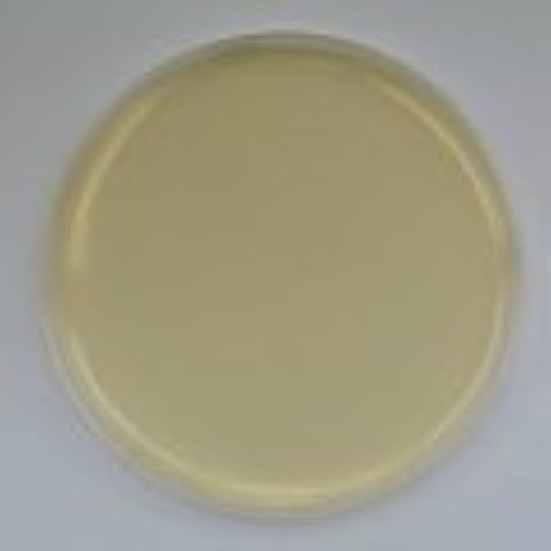 Sabouraud Dextrose Agar Plates in Oman | Whizz Natural Proteins