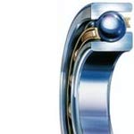 Flexure Bearings & Pivot Bearings Bahrain | Buy Online | Whizz Others