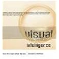 Visual Intelligence: How We Create What We See: 9780393319675: Medicine ...