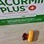 Kurkuma Kapseln hochdosiert von Acurmin PLUS – mizellares Curcumin C14 ...