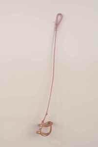 Amazon.com: Invisible Dog Leash - Great Gag!: Toys & Games