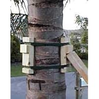 Amazon.com : TreeHelp Palm Tree Brace : Patio, Lawn & Garden