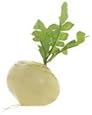 Amazon.com: White Artificial Turnip: Home & Kitchen