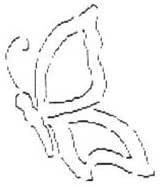 Amazon.com: 6 Side-Facing Butterfly Quilting Stencil