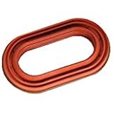 Amazon.com: GM Genuine Parts 24240184 Automatic Transmission Control ...