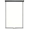 Amazon.com : CFS Products Retractable White Photo ID Backdrop for ...