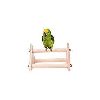 Amazon.com : Hypeety Small Bird Parrot Stand Perch Table Top Stand ...
