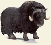 Amazon.com: Schleich Musk Ox: Toys & Games