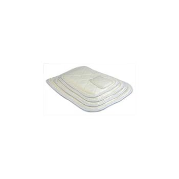 Amazon.com: Promagnet Standard Magnetic Therapy Mattress Pad - Queen 1 ...