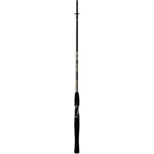 Amazon.com : Berkley Fusion Spinning Combo Rod and Reel : Sports & Outdoors