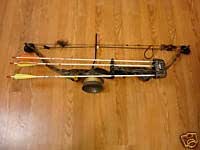 Amazon.com : XI Legend Magnum Bow : Compound Archery Bows : Sports ...