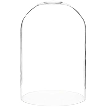 Amazon.com : Achla Designs Extra Large Bell Jar : Pet Terrariums ...
