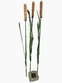 Amazon.com : 3 Light Cattails Solar Stick Light : Landscape Path Lights ...
