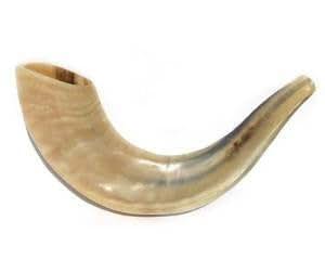 Amazon.com: Jewish Shofar - Traditional Ram's Horn Jewish Shofar ...