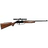 Daisy Powerline 880 Multi-Pump Pneumatic Rifle with Scope .177 Cal BB ...
