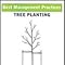 Best Management Practices - Tree Planting: TCIA: 9781881956662: Amazon ...