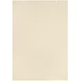 Amazon.com : School Smart Jumbo Manila Tag Ruled Chart Paper, 36 x 24 ...