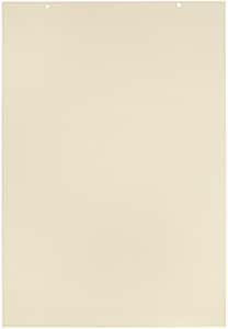 Amazon.com : School Smart Jumbo Manila Tag Ruled Chart Paper, 36 x 24 ...