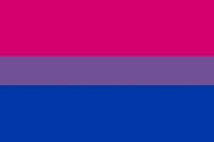 Bi Pride Flag Bisexual Banner Gay Lesbian LGBT 3x5 Rainbow Festival ...