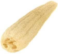 Amazon.com: One Whole Egyptian Loofah 100% Natural SPA Beauty Bath ...