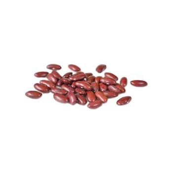 Amazon.com : Dark Red Kidney Bean Seeds - 100 Seeds - Heirloom : Bean ...