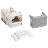 Amazon.com: Commscope/Systimax GigaSpeed Cat6 Modular Jack, White ...