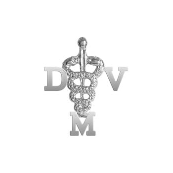 Amazon.com: NursingPin - Doctor of Nursing Practice DNP Graduation ...