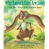 Lapin Plays Possum: Trickster Tales from the Louisiana Bayou (Lapin ...