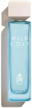 Assaf Wild Colt Perfume 200ml Original price in Saudi Arabia | Amazon ...
