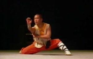 Amazon.com : Mastering Hung-Gar Kung-Fu Weapon Form KWAN-DO 2 Starring ...