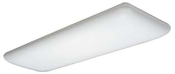 Lithonia Lighting 10642RE Four Foot Four Lamp T8 Fluorescent Litepuff ...