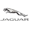 Amazon.com: Jaguar AJ89664 Radiator Outlet Pipe : Automotive