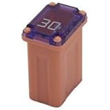 Amazon.com: Littelfuse (MCAS030.XP) MCASE Pink 32V 30 Amp Fuse: Automotive