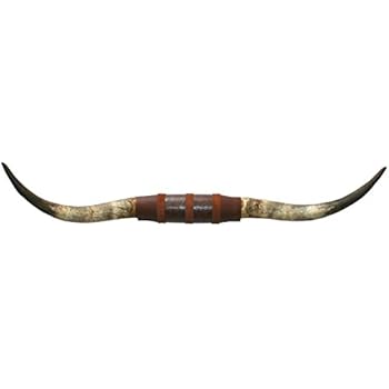 Amazon.com: Mounted Longhorn Steer Horns, 44-54 inch Span, Natural ...