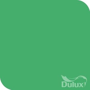 Dulux Colour Tester Pixie Green 30ml: Amazon.co.uk: DIY & Tools