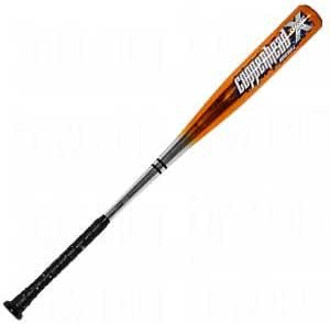 Amazon.com : Worth ALXAB Copperhead Chrome X Adult Baseball Bat (-3 ...