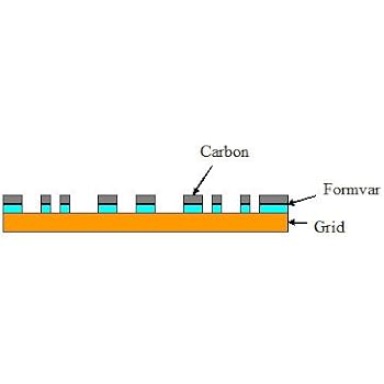 Amazon.com: Formvar stabilized with carbon support film mounted on 200 ...