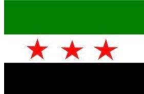 Amazon.com: Syrian 3 Star Flag: Sports & Outdoors