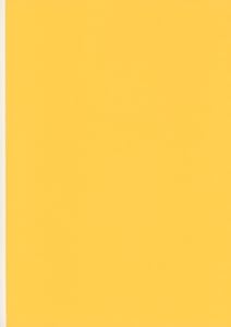 GOLD YELLOW A4 Coloured Craft Card 160gsm x 50 Sheets: Amazon.co.uk ...