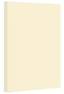 Amazon.com : Pastel Color Card Stock | 67Lb Cover Cardstock | 8.5" x 14 ...